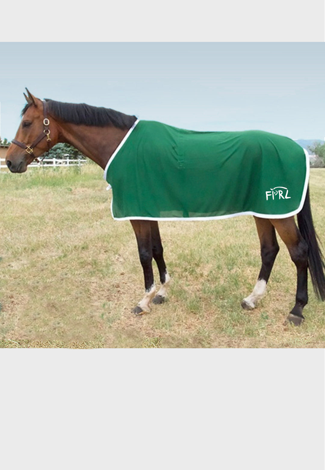 Scrim Sheets and Coolers – It's A Haggerty's